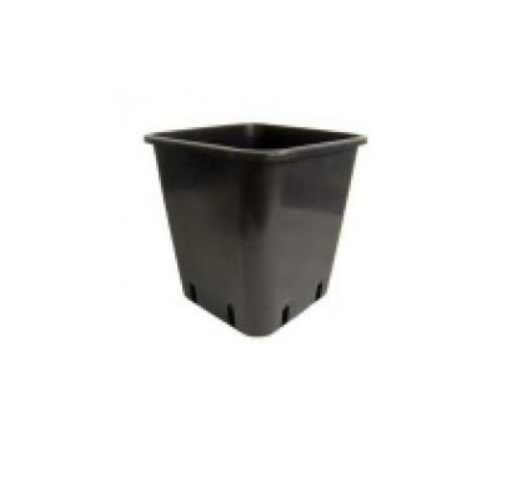 6.5Lt Square Pot – Dublin Indoor Gardening