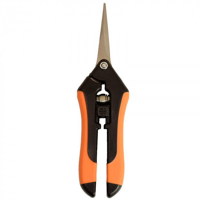 Curved Blade Scissors – Dublin Indoor Gardening