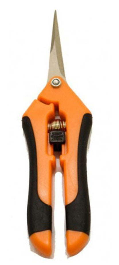 Straight Blade Scissors – Dublin Indoor Gardening