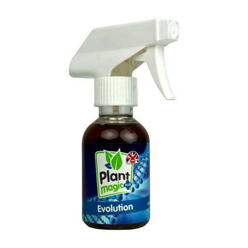 Plant Magic Evolution – Dublin Indoor Gardening